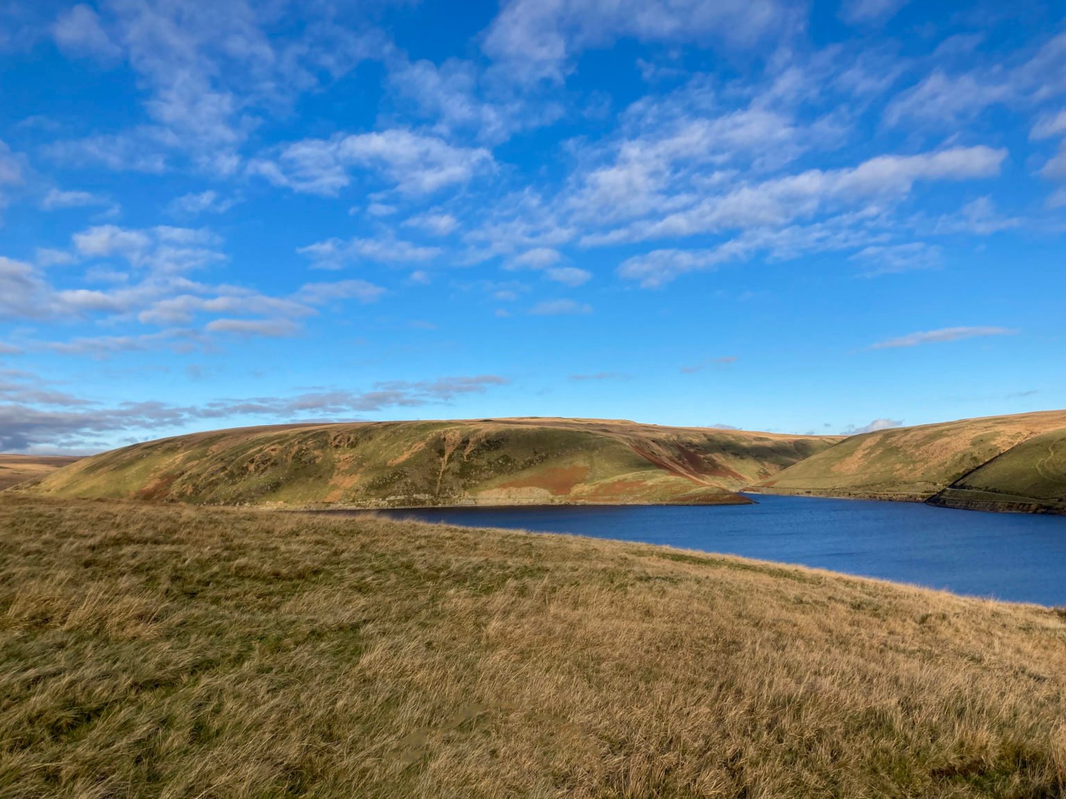 Rhos Pasture | Elan Valley